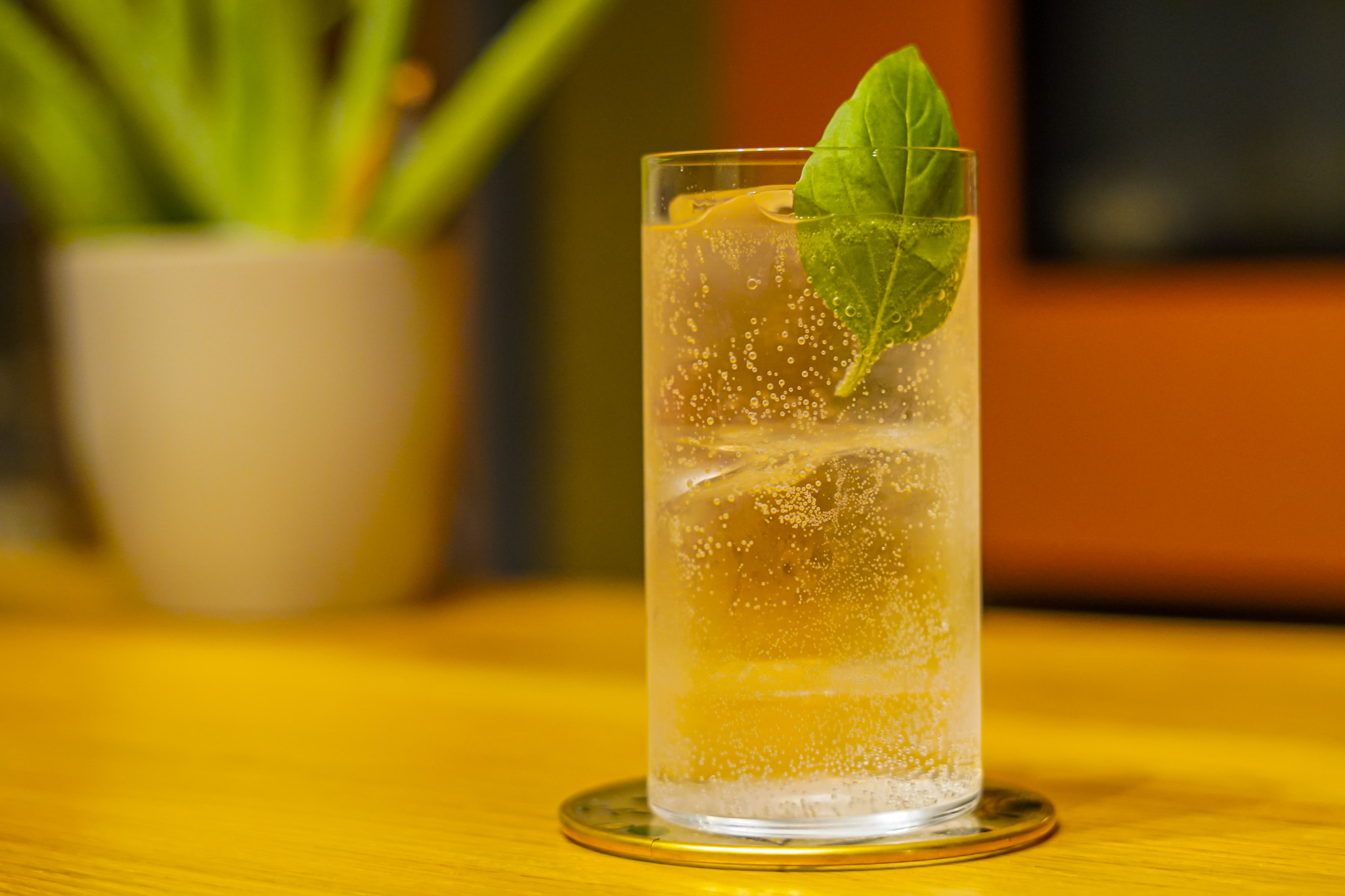 Gin Tour & Tasting | The House of Botanicals B Corp™